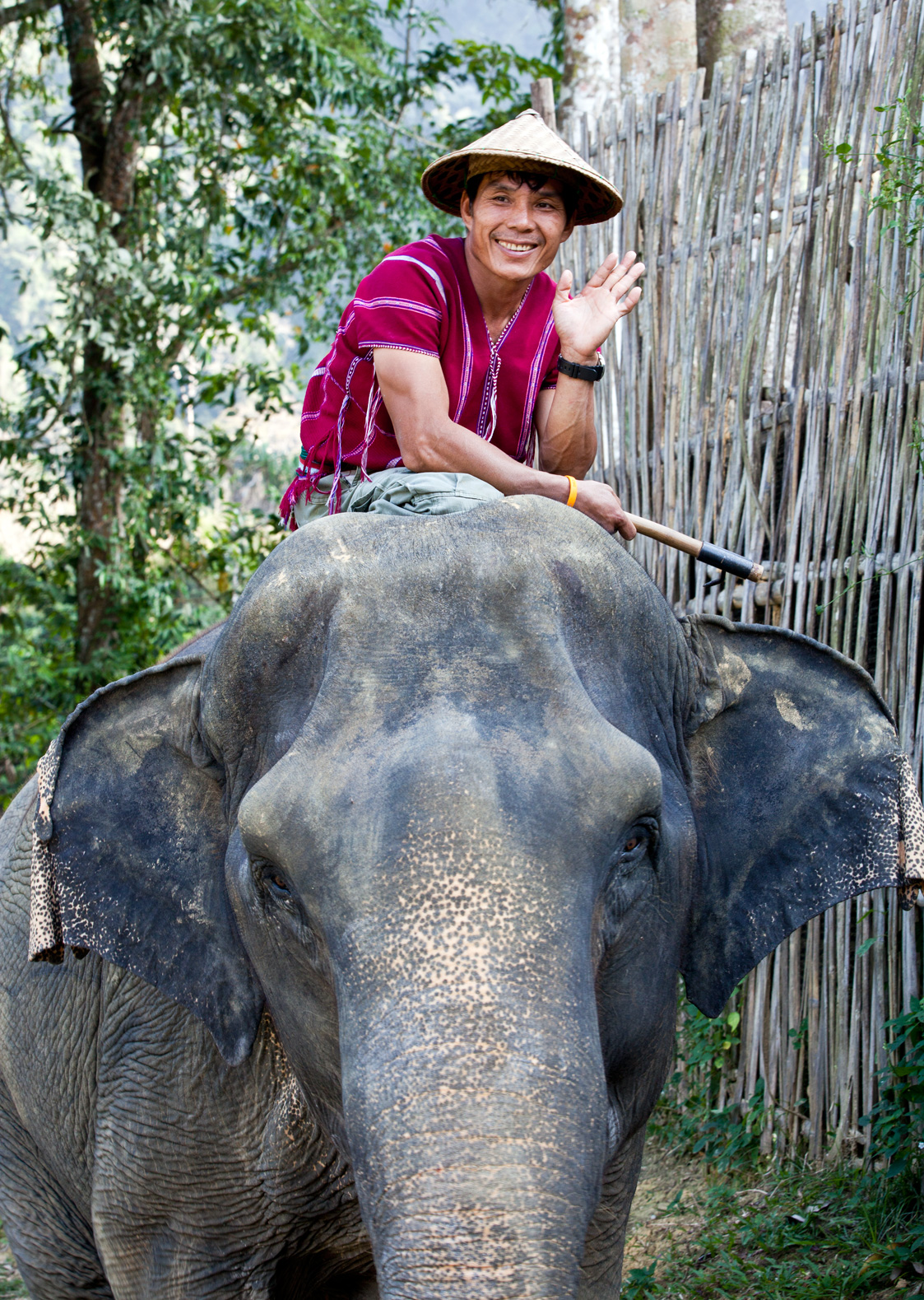 Thailand Day 6: Elephant Hills and the elephant experience – The Z-Issue